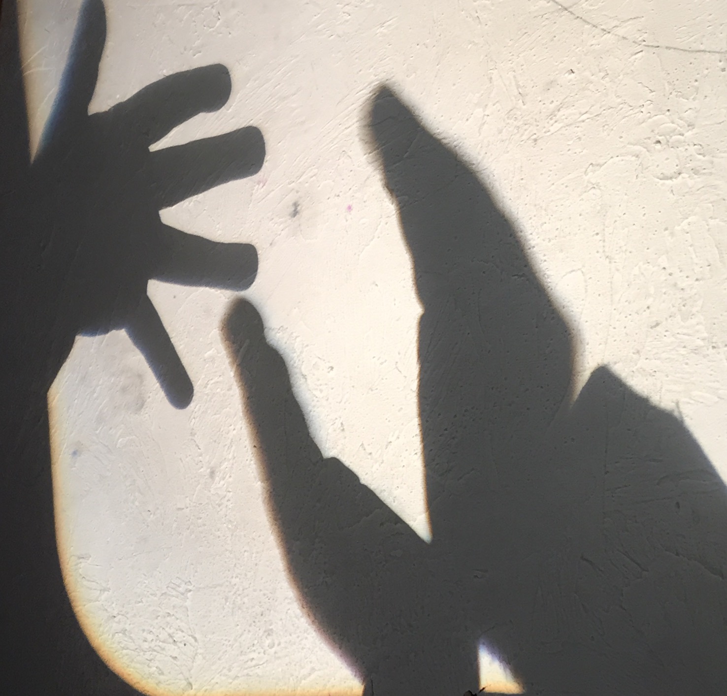 5 Activities to Do with a Projector - Your Therapy Source