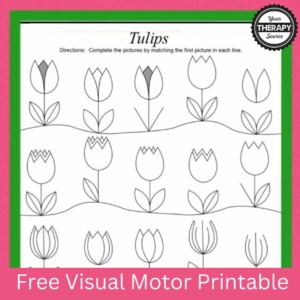Spring Time Tulips - Finish the Picture - Your Therapy Source