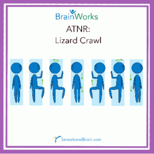 BrainWorks Online Membership - Your Therapy Source
