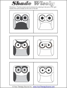 Shade Wisely - Your Therapy Source