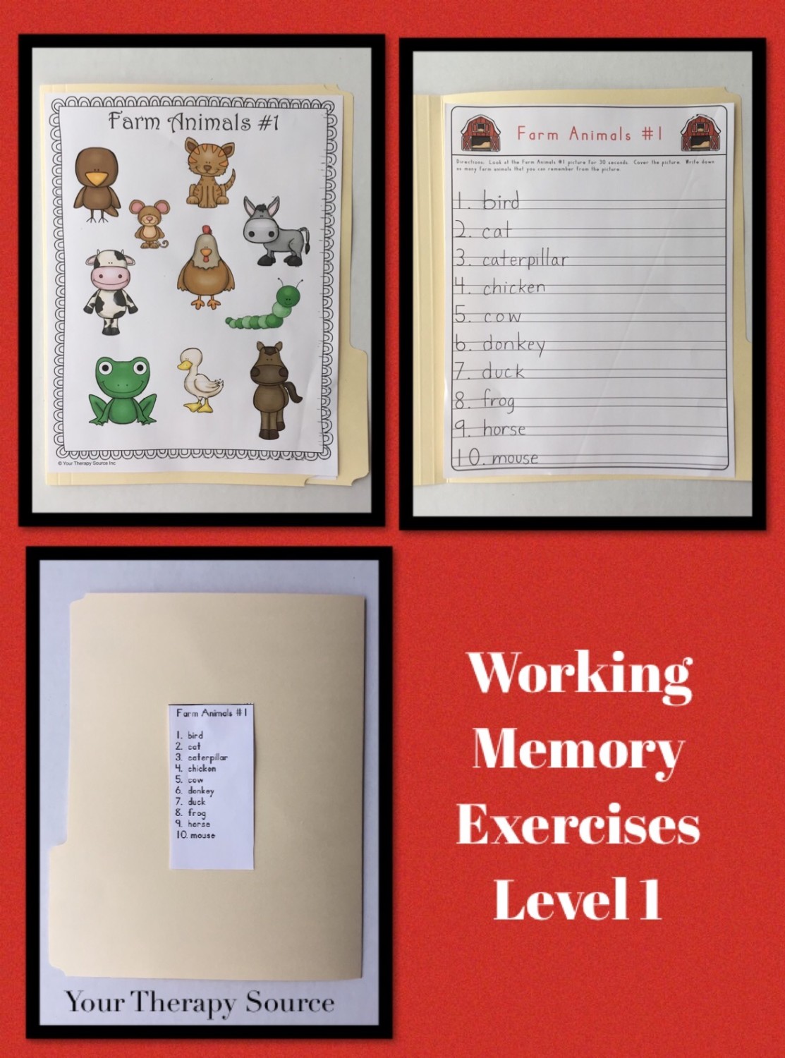 Working Memory Exercises - Your Therapy Source