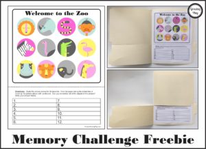 Visual Memory Challenge - Your Therapy Source