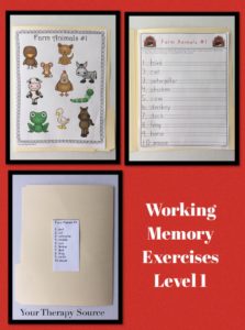 Visual Spatial and Working Memory Task - Your Therapy Source
