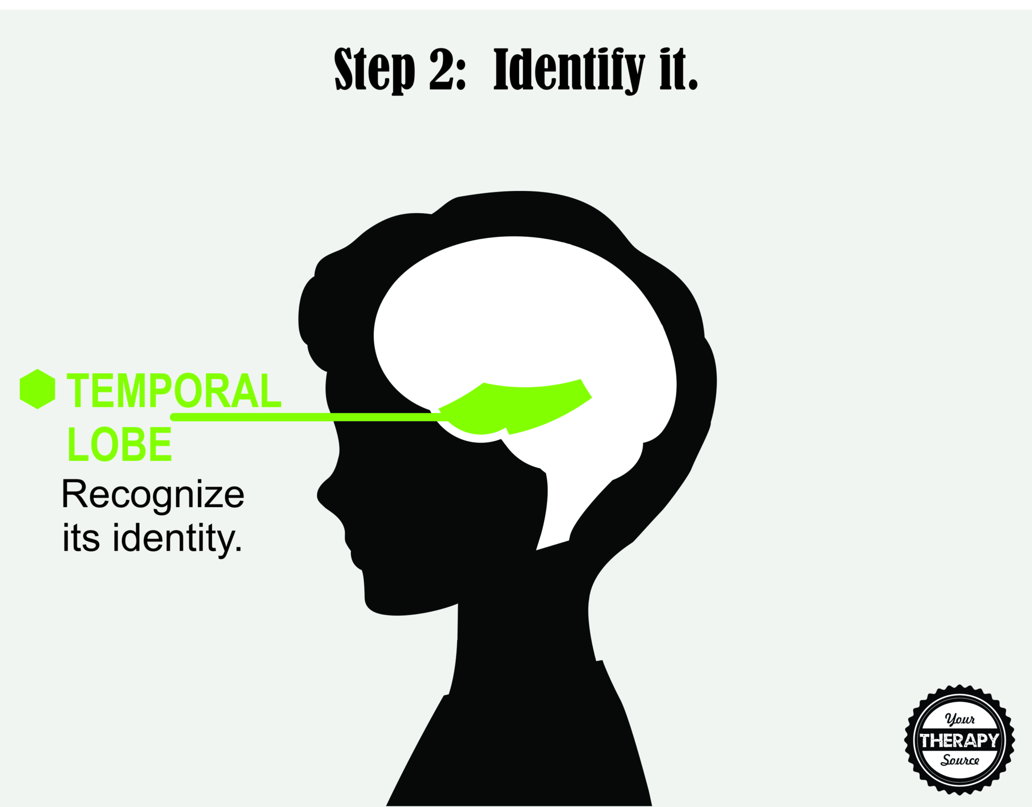 Brain Activation and Ball Skills - Your Therapy Source