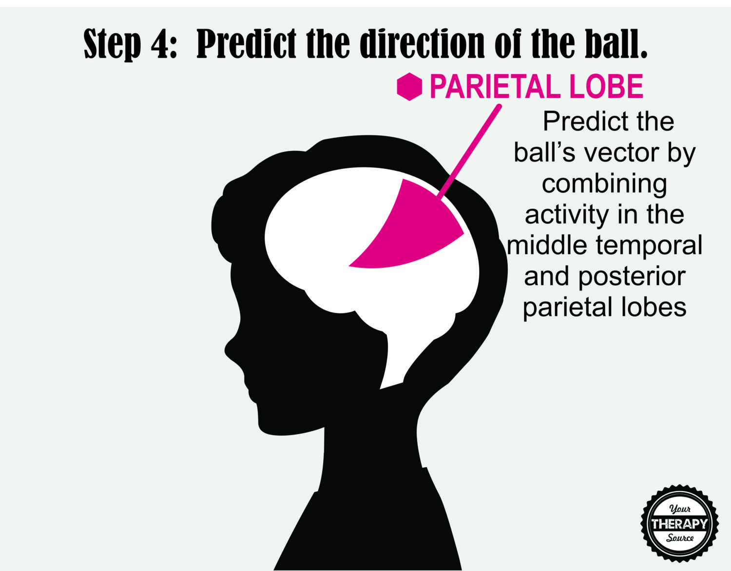 Brain Activation and Ball Skills - Your Therapy Source