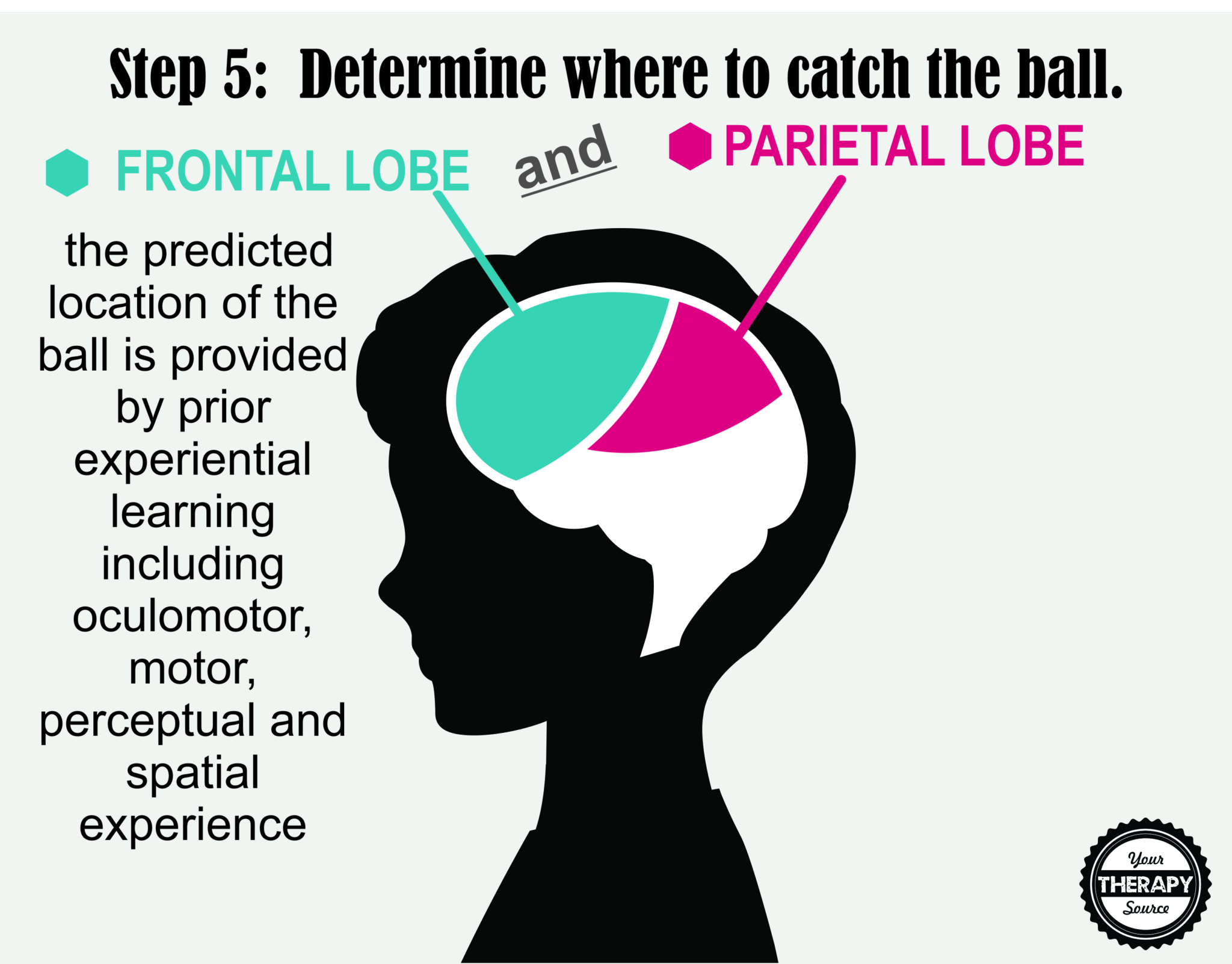 Brain Activation and Ball Skills - Your Therapy Source