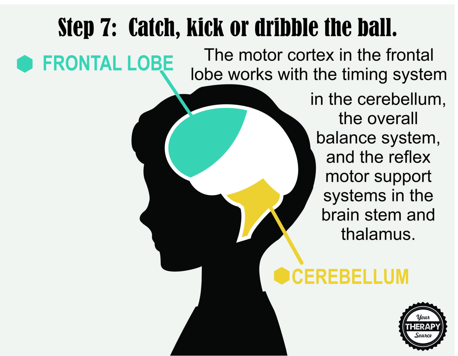 Brain Activation and Ball Skills - Your Therapy Source