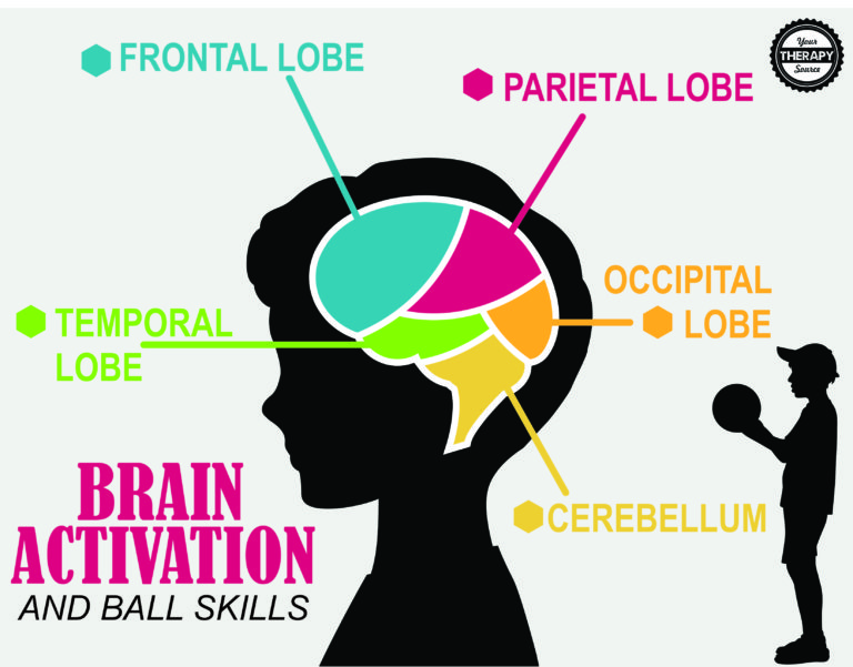 Brain Activation and Ball Skills - Your Therapy Source
