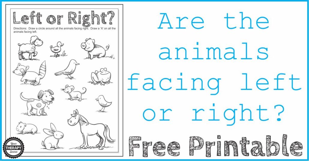 Directionality Worksheet - Which Way is the Animal Facing? - Your ...