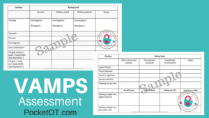 VAMPS Assessment Visual Activity, Motor, Postural, & Sensorimotor ...