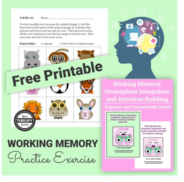 Working Memory Practice Exercise - Your Therapy Source