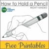 Correct Pencil Grip Visual Reminders - Free Printables - Your Therapy ...