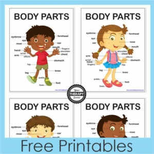 6 Body Awareness Activities and Printables - Free! - Your Therapy Source