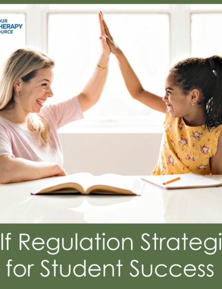 Self Regulation Strategies - Your Therapy Source