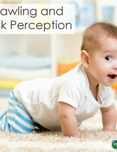 Crawling and Risk Perception - Your Therapy Source