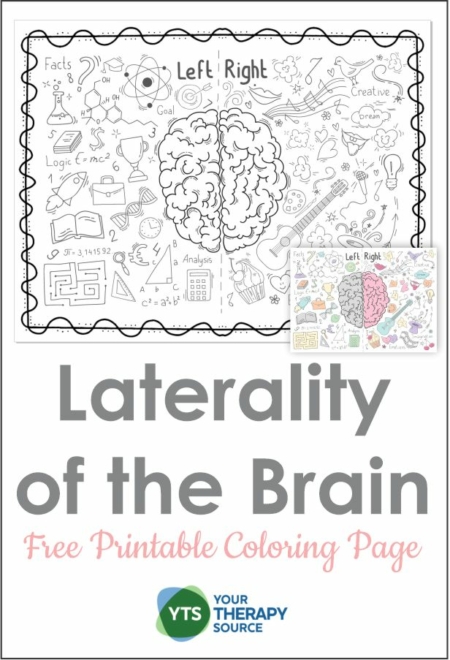 LATERALITY ACTIVITIES - Your Therapy Source