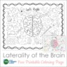 LATERALITY ACTIVITIES - Your Therapy Source