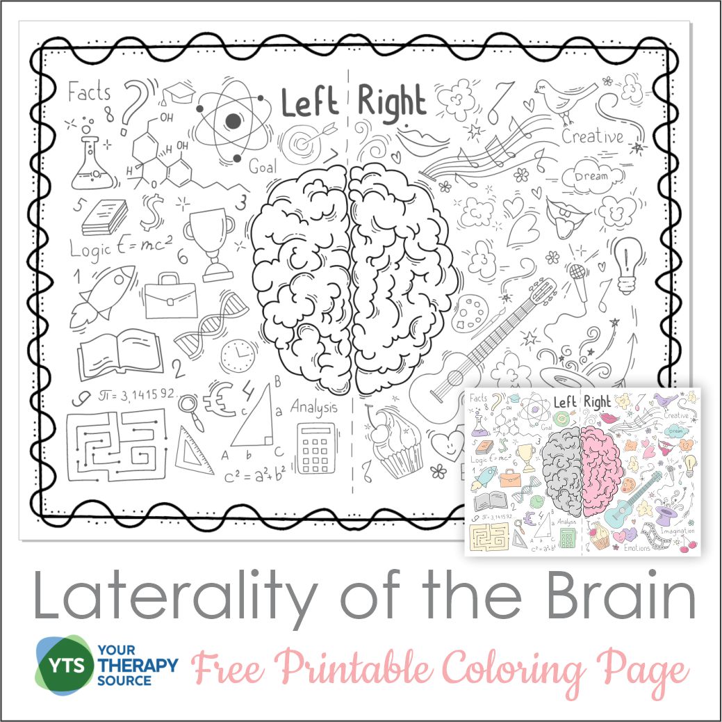 LATERALITY ACTIVITIES - Your Therapy Source