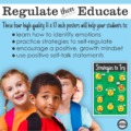 Emotional Regulation Skills PRINTED Posters - Your Therapy Source