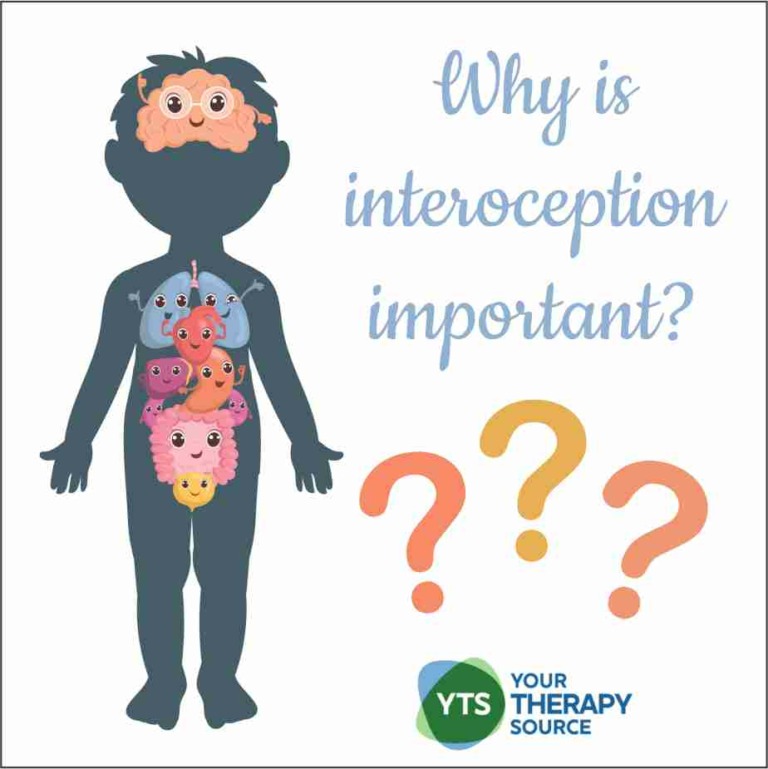 What is Interoception? - Your Therapy Source