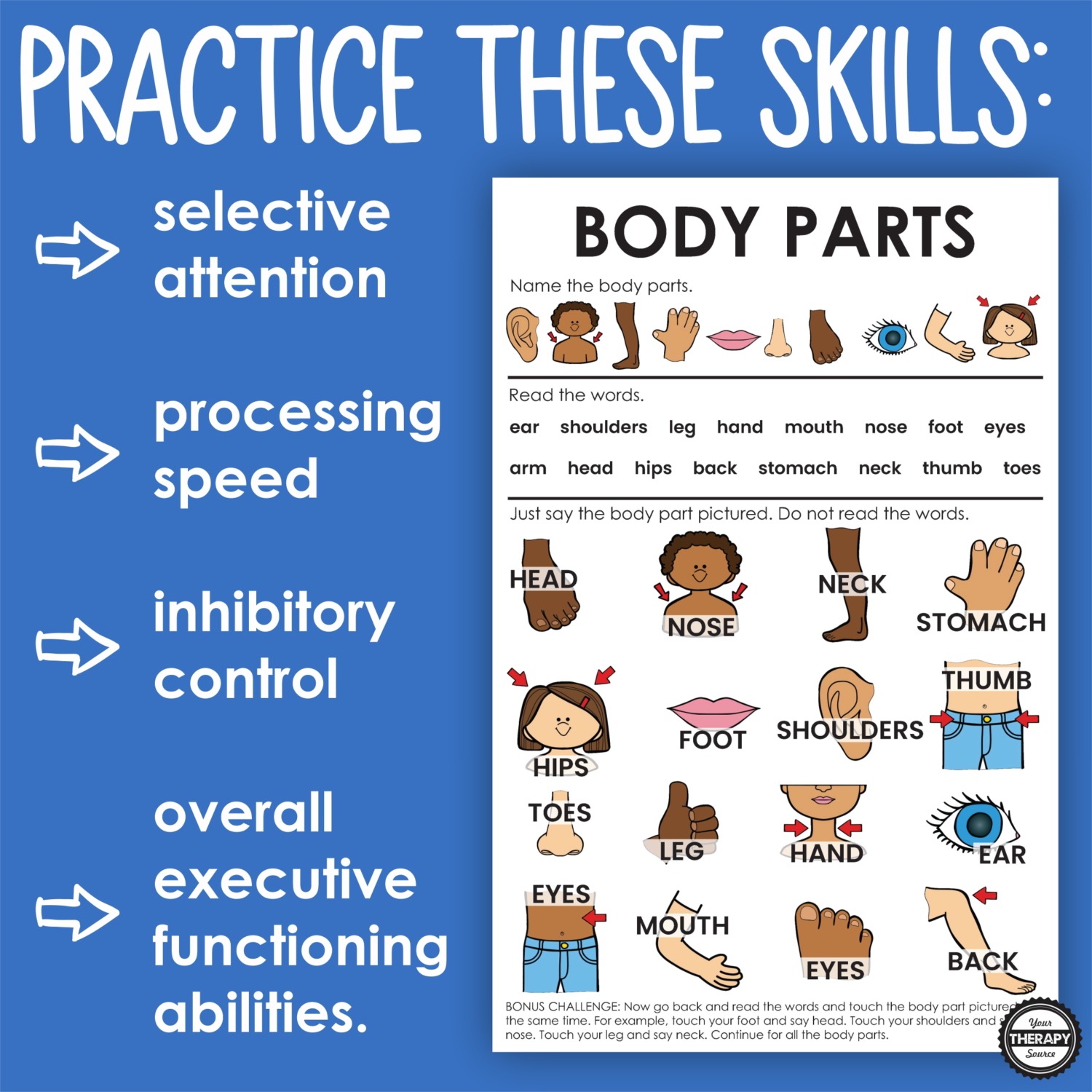 Brain Training Posters PRINTED Version - Your Therapy Source