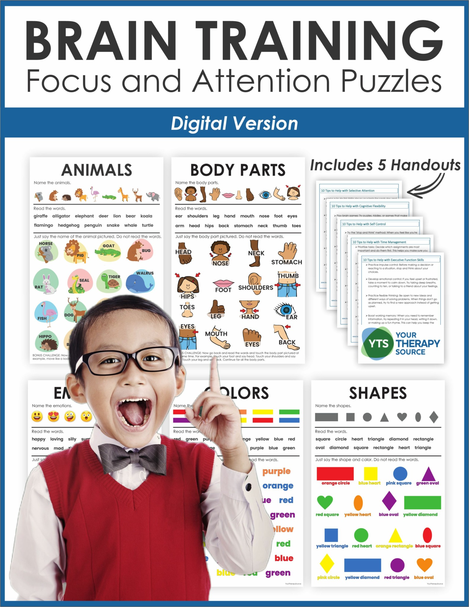 Brain Training Posters DIGITAL Version - Your Therapy Source