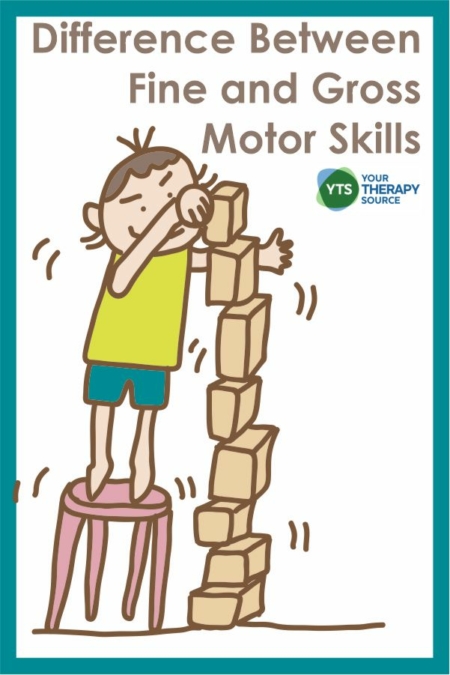 Difference Between Fine and Gross Motor Skills - Your Therapy Source