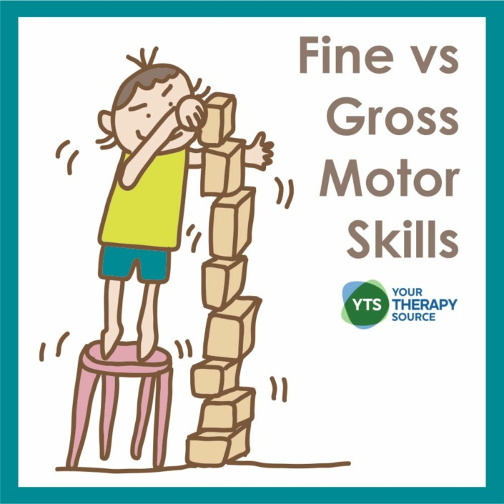 Difference Between Fine and Gross Motor Skills - Your Therapy Source