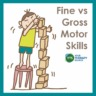 Difference Between Fine and Gross Motor Skills - Your Therapy Source