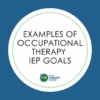 Occupational Therapy IEP Goals - Your Therapy Source