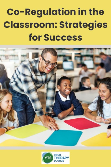 Co-Regulation in the Classroom: Understanding and Supporting Students ...