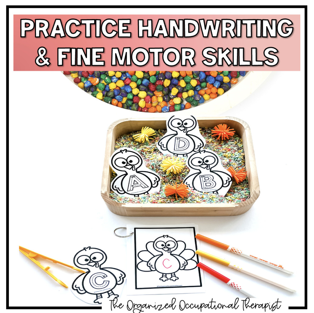 Thanksgiving Sensory Bin Activity Cards - Your Therapy Source