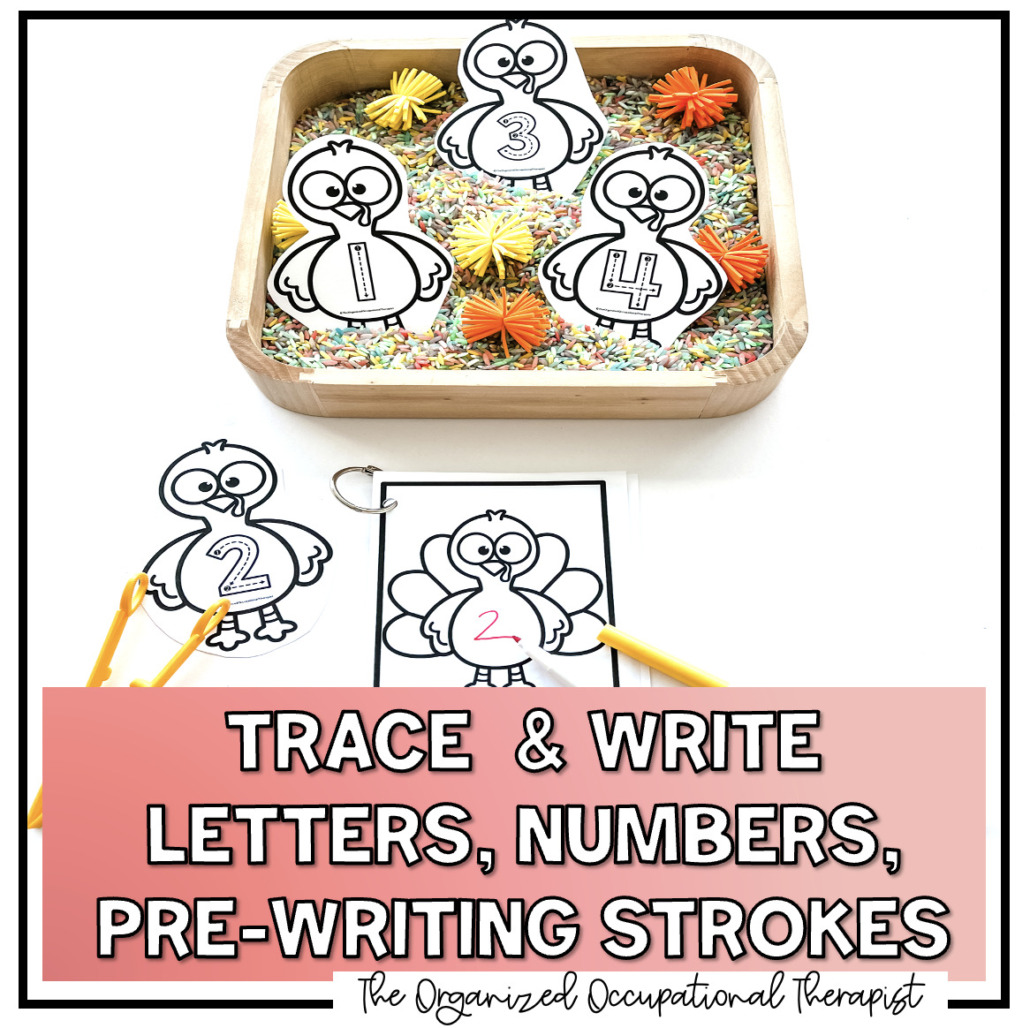 Thanksgiving Sensory Bin Activity Cards - Your Therapy Source