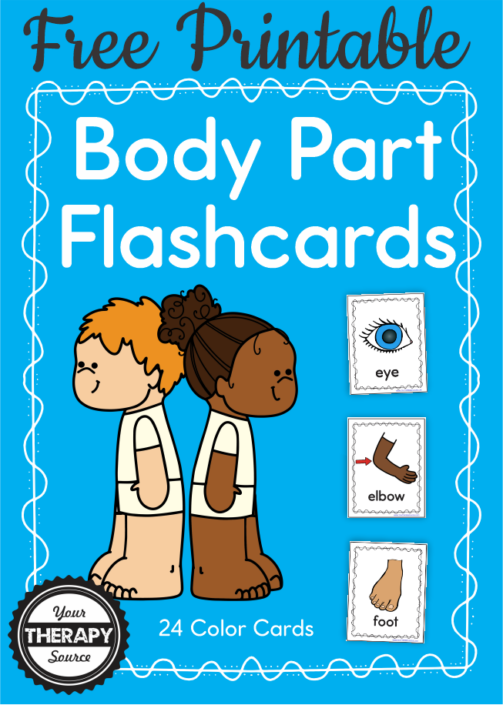 Body Part Flashcards - Free Printables - Your Therapy Source