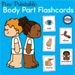 Body Part Flashcards - Free Printables - Your Therapy Source