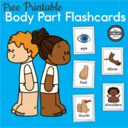 Body Part Flashcards - Free Printables - Your Therapy Source