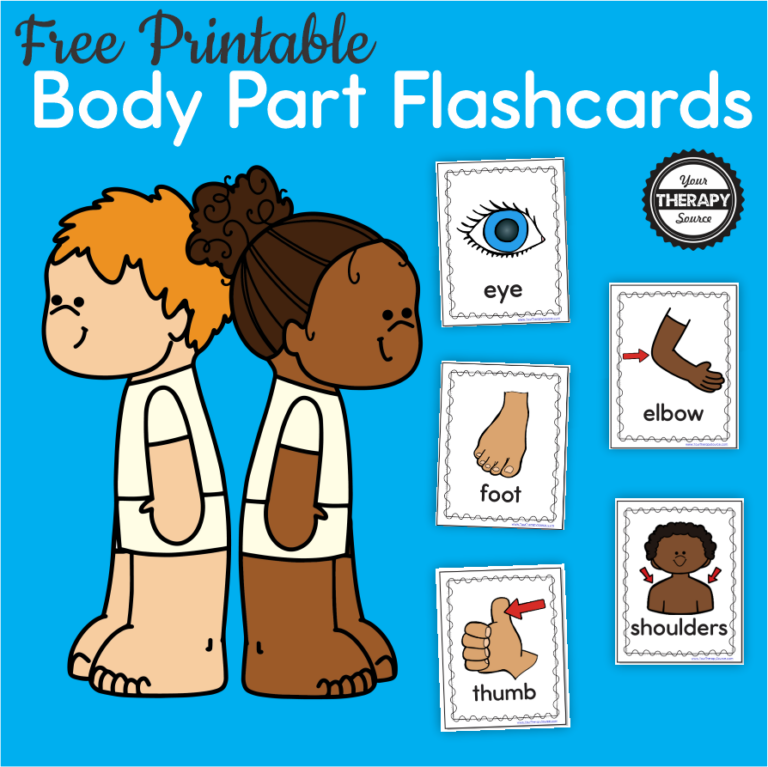 Body Part Flashcards - Free Printables - Your Therapy Source