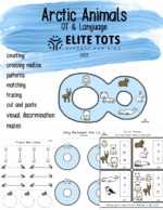 Visual Discrimination Collection - Your Therapy Source