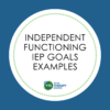 Independent Functioning IEP Goals Examples - Your Therapy Source